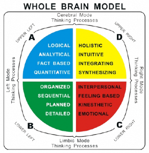 Le HBDI_en | Herrmann International Europe
